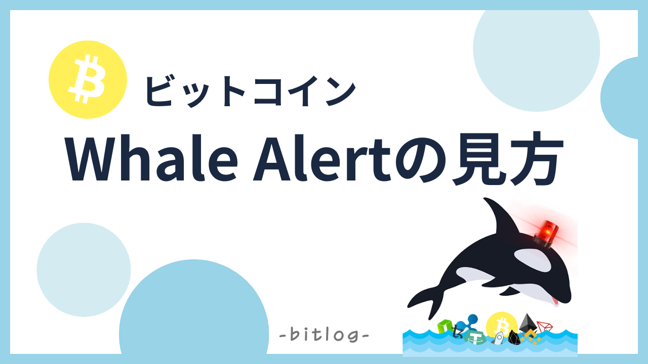 Whale Alertのシグナル分析とは？アラートの見方解説｜ホエールアラート | Bitlog